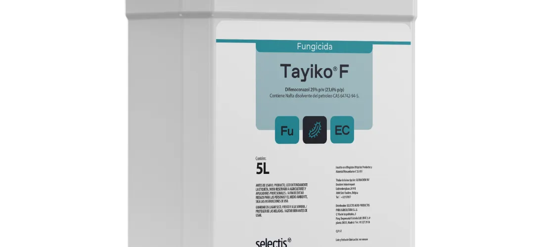 Tayiko F | Selectis