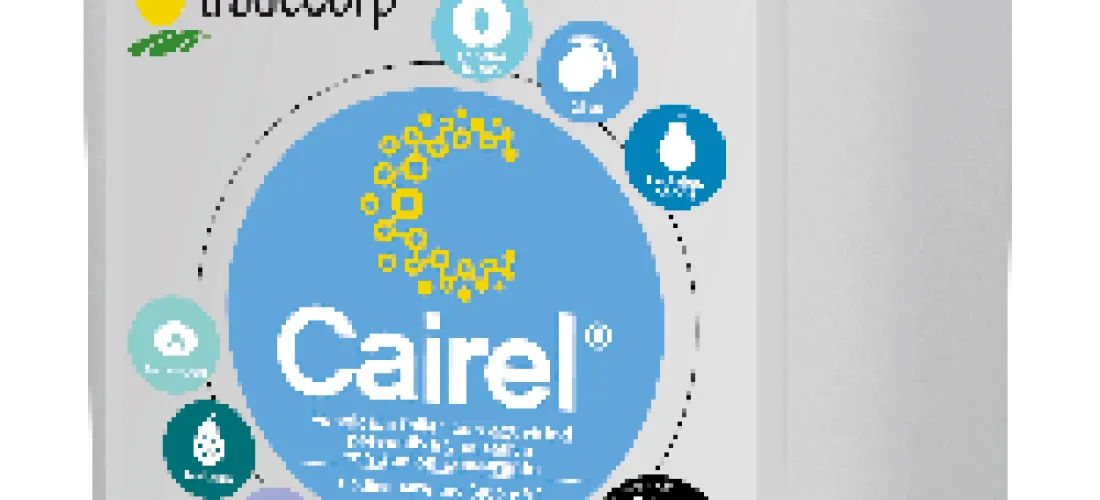 Cairel 40 | Selectis