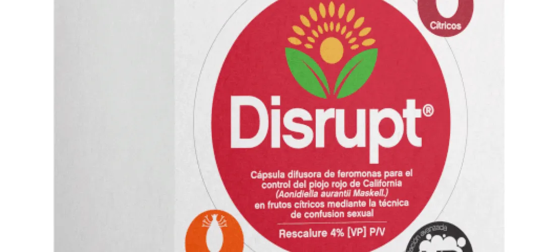 Disrupt® | Selectis